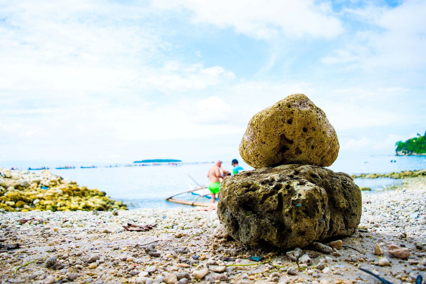 Swim With Whale Sharks In Oslob, Cebu | Blue Forest On Wet Boots