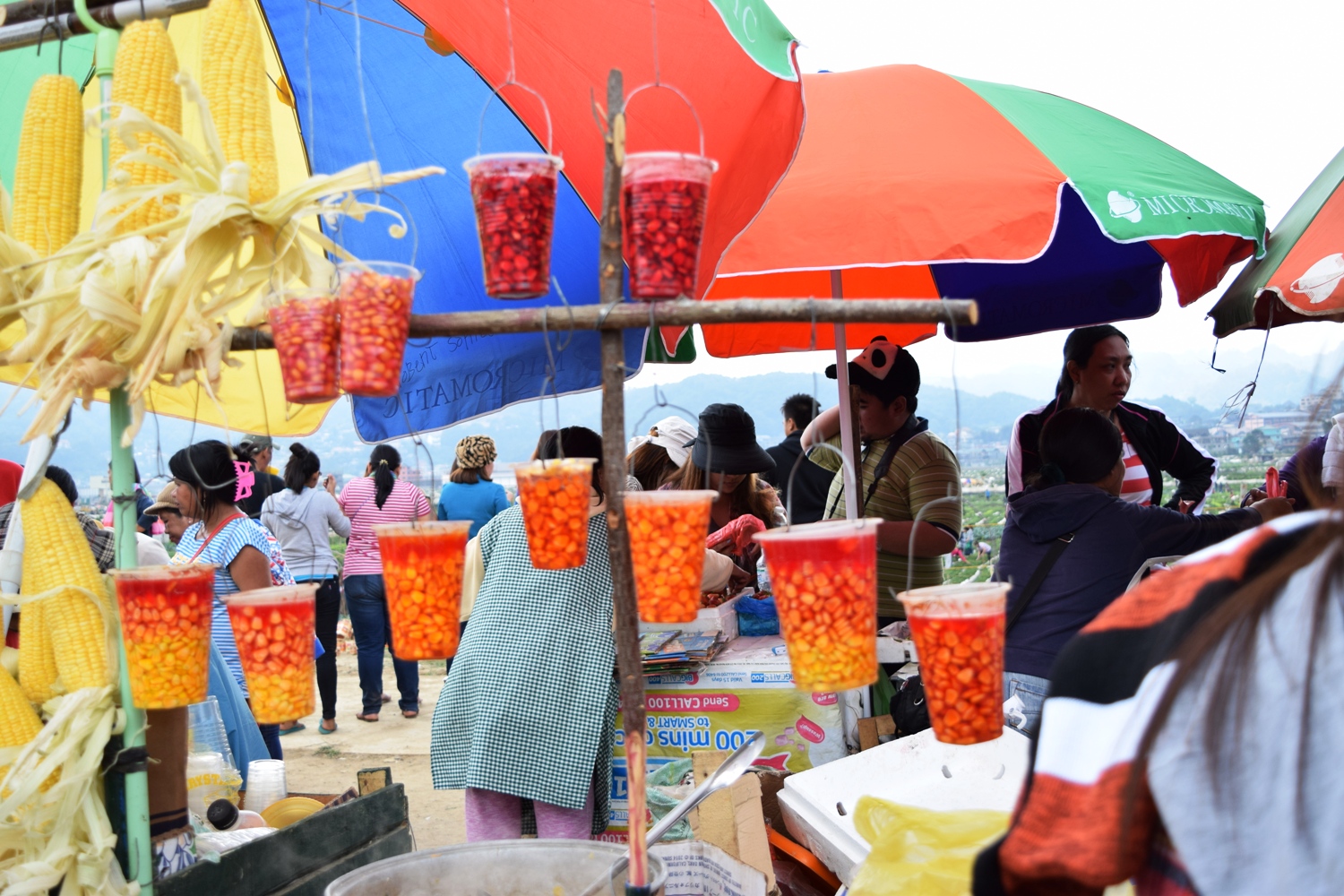 Visit These Five Tourist Pit Stops In Baguio City | Blue Forest On Wet ...