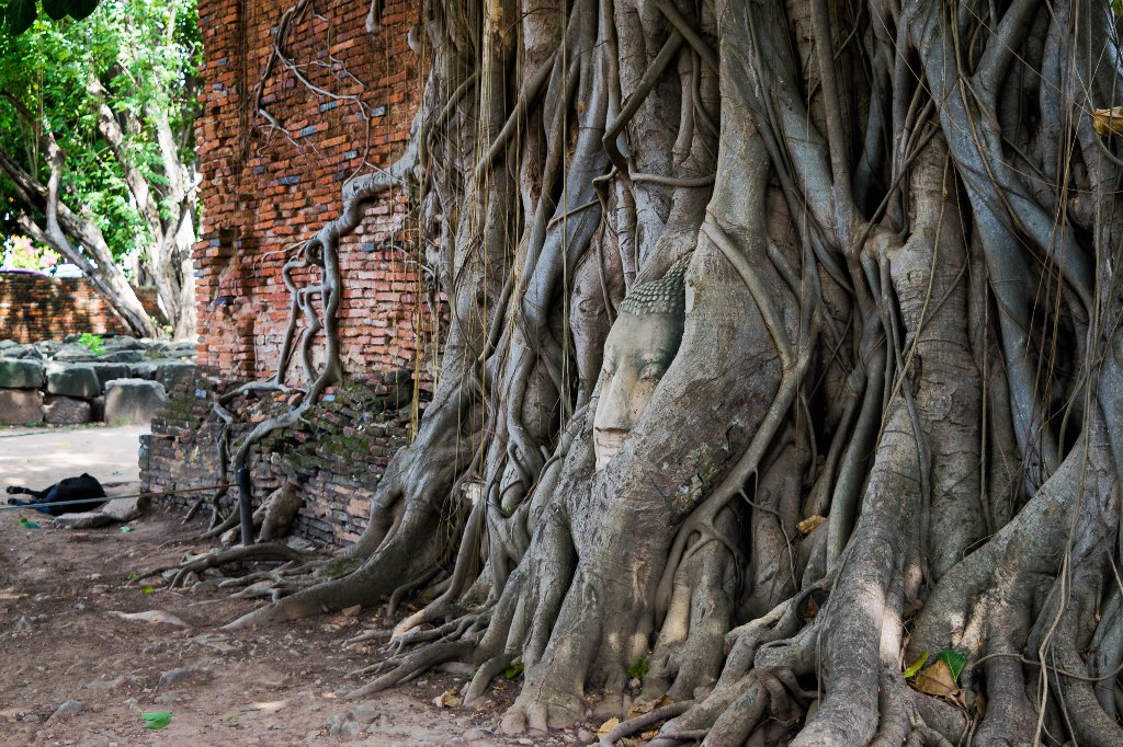 Ayutthaya Tourism: 6 Most Visited Landmarks | Blue Forest on Wet Boots